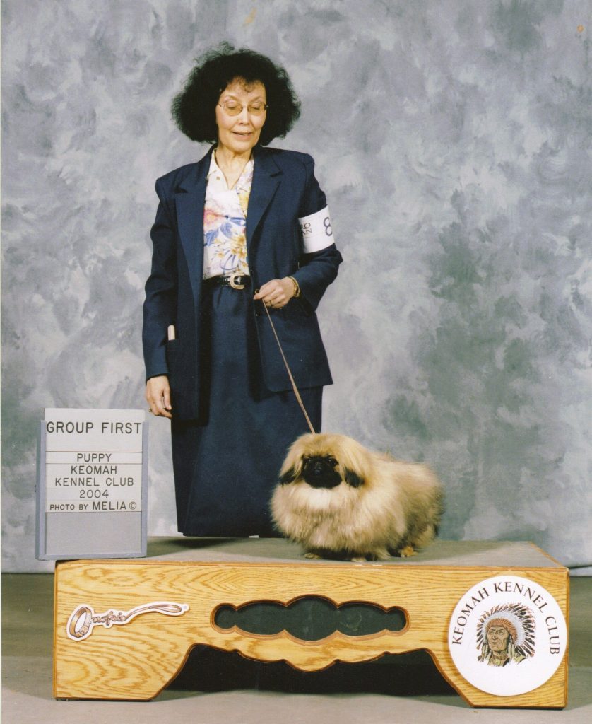 About - Happy Tail Pekingese